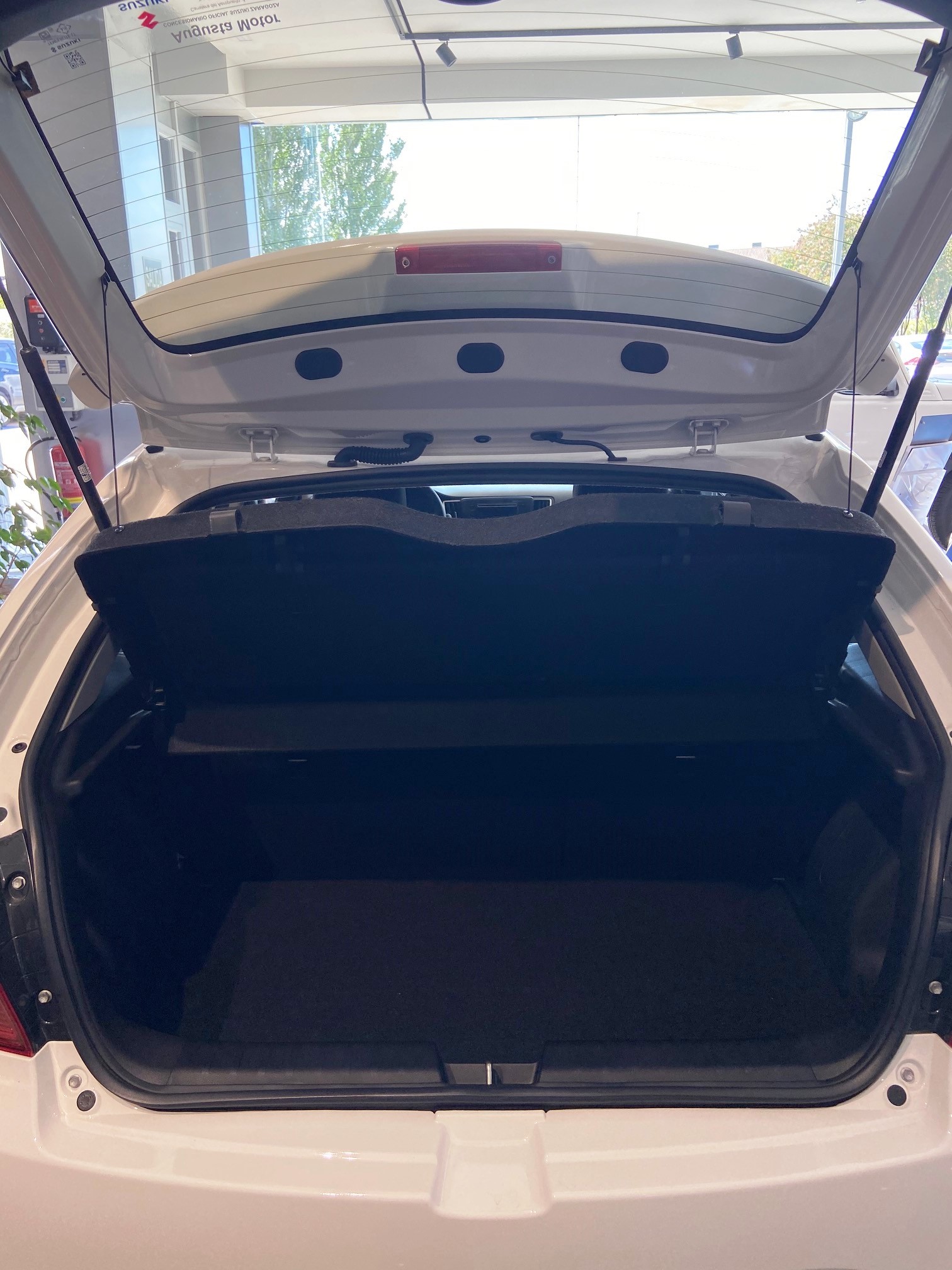 IMG_0482 - Suzuki Zaragoza